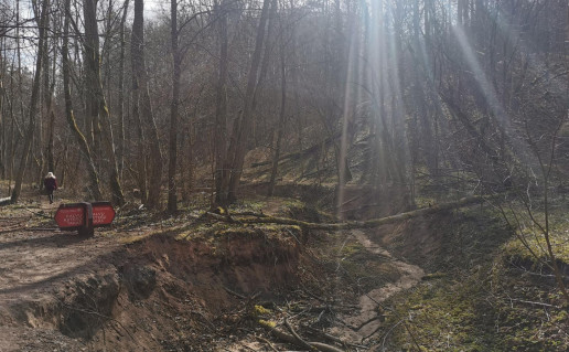 Karoliniškių kraštovaizdžio draustinio pažintiniai takai | Saugoma